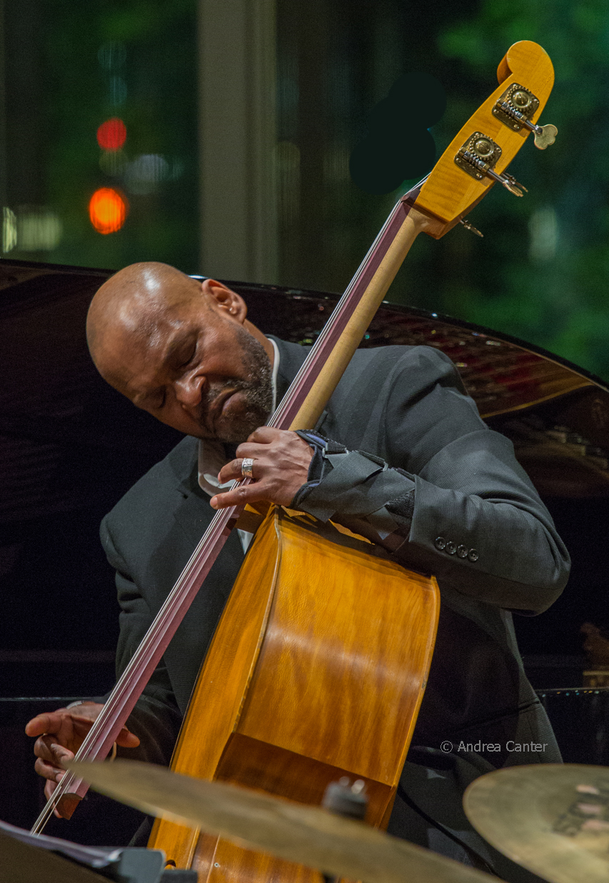 Regional Jazz Trio at the Icehouse, March 20 - Twin Cities Jazz Festival